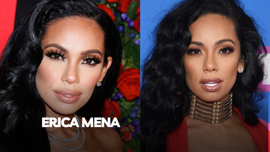 Who is Erica Mena? Age, Height, Net Worth, Boyfriend, Wiki/Bio